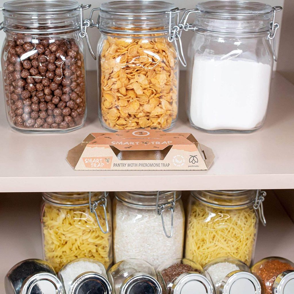 Pestmatic Pantry moth traps for kitchen x8- ThePestmatic.com
