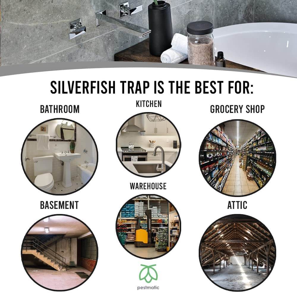 Silverfish Smart Trap - ThePestmatic.com